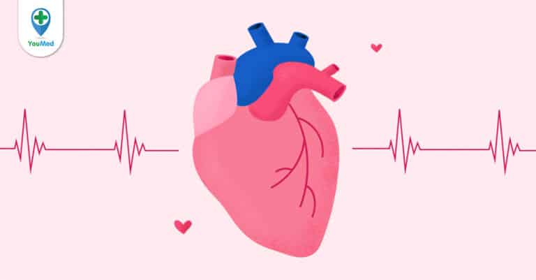 Nhịp tim bình thường là bao nhiêu? Biện pháp giúp duy trì nhịp tim ổn định