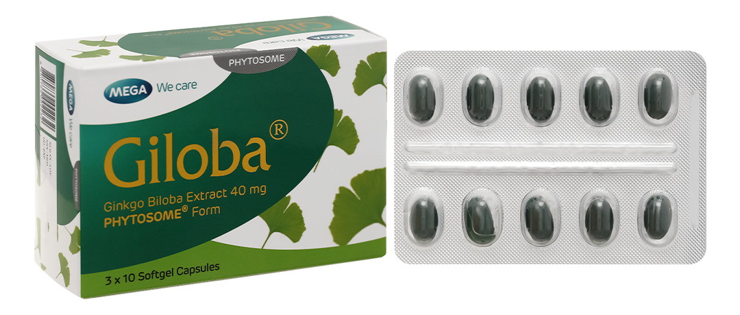 Ginkgo Biloba: Công dụng, Cách dùng và lưu ý khi sử dụng