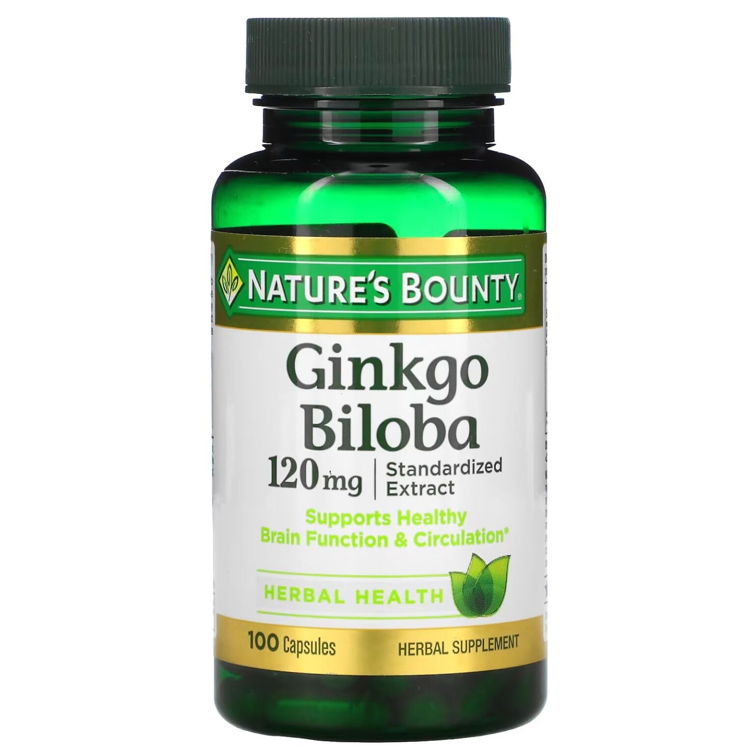 Ginkgo Biloba: Công dụng, Cách dùng và lưu ý khi sử dụng