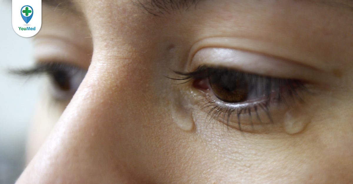 Tuyến lệ: Đặc điểm cấu trúc giải phẫu và chức năng