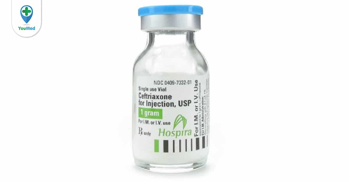 Thuốc Ceftriaxone: Công dụng, cách dùng và lưu ý - YouMed