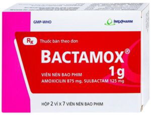 Bactamox là thuốc gì? Công dụng, cách dùng và lưu ý khi dùng