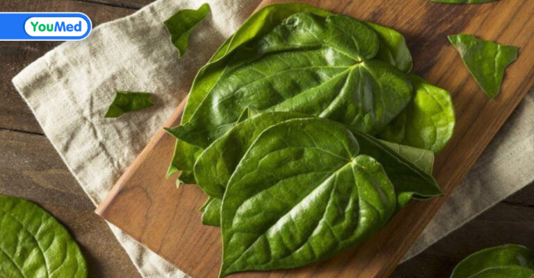 Top 3 thuốc nhỏ mắt trị mụt lẹo (lẹo mắt) tốt hiện nay